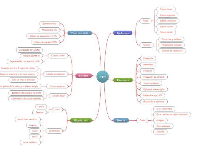 La piel - Adimen Mapa